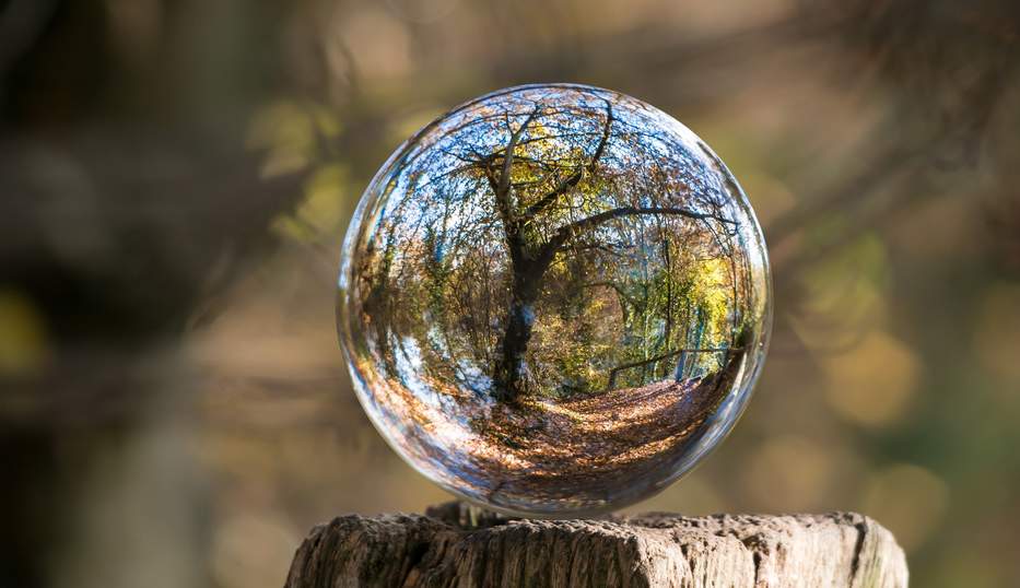 Tele’Train voorspelt de tien belangrijkste trends voor 2022